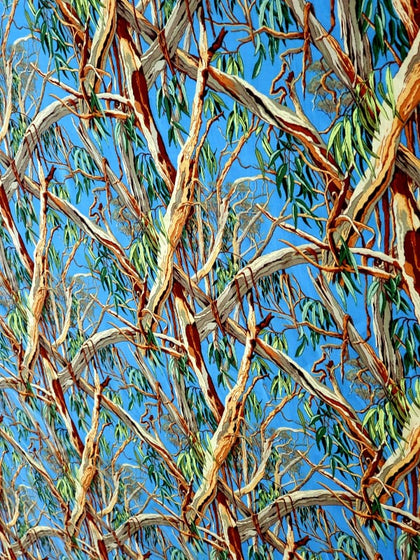 Gum Tree - Fat Quarter – Aboriginal Fabric Gallery
